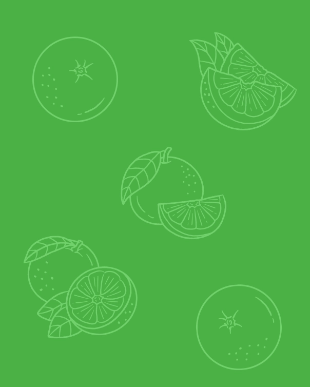 Fresh Egypt – We are Grower – Packer – Exporter