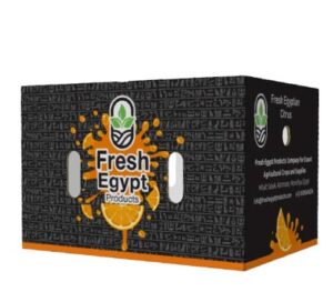 Fresh Egypt – Fresh Egypt